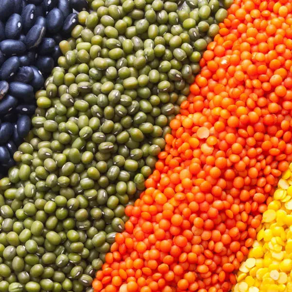 Wholesale Supplier of Bulk Beans and Lentils - Canada - Mega Store